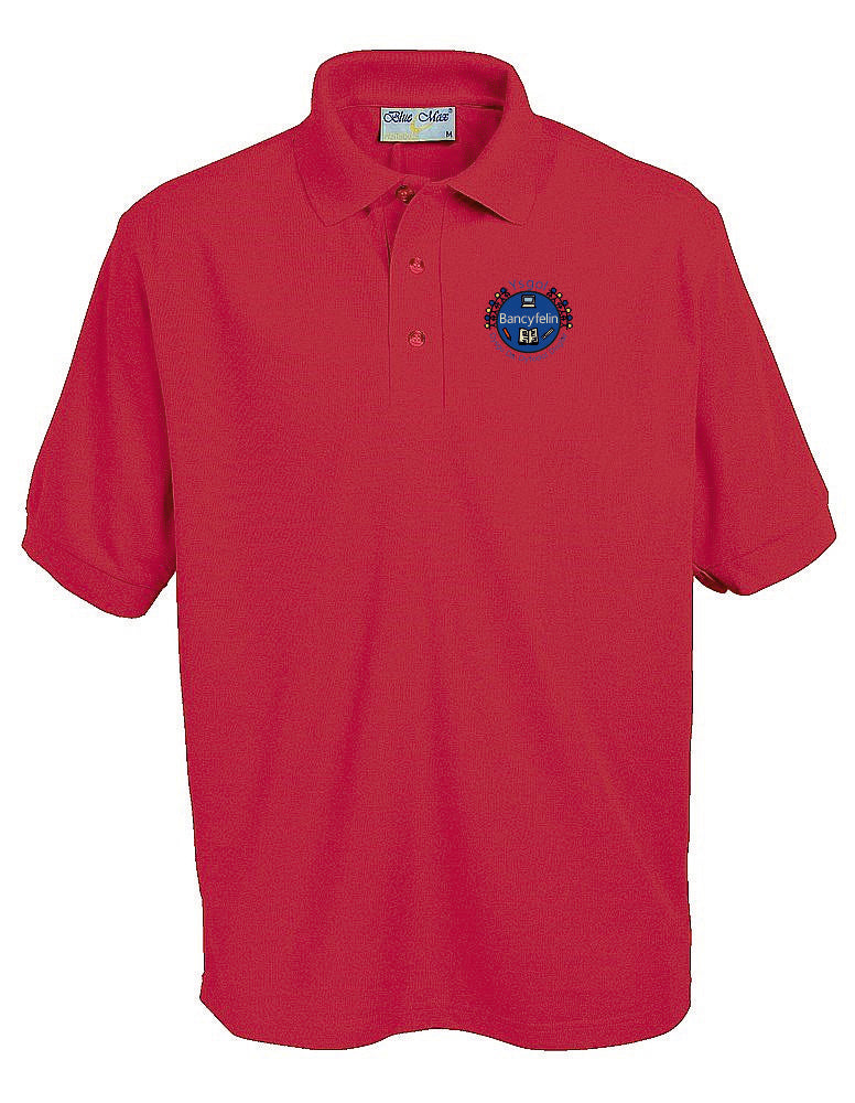Bancyfelin Polo – Evans and Wilkins